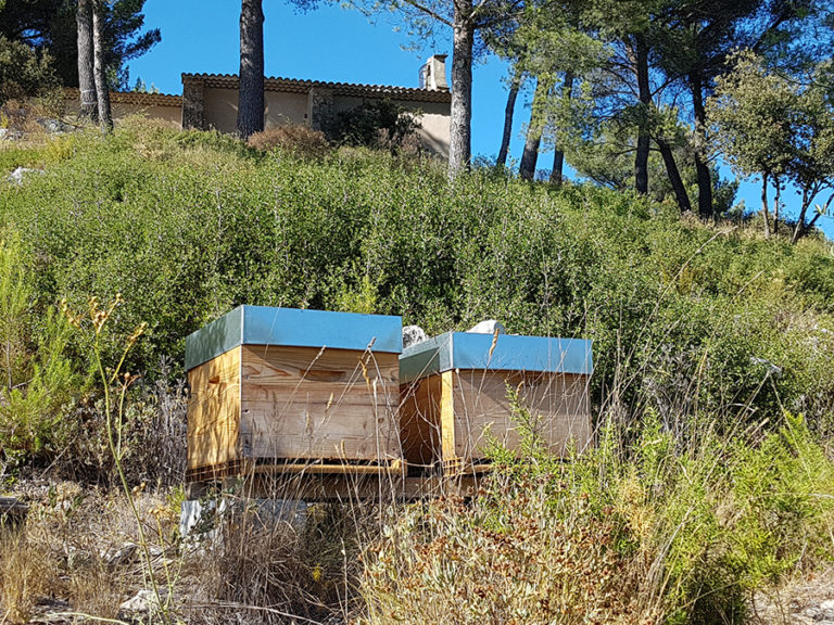 Bonjour ! - Le village de Bouc Bel Air